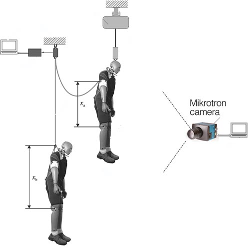 High-speed, high-resolution camera analysis | 2021-09-26