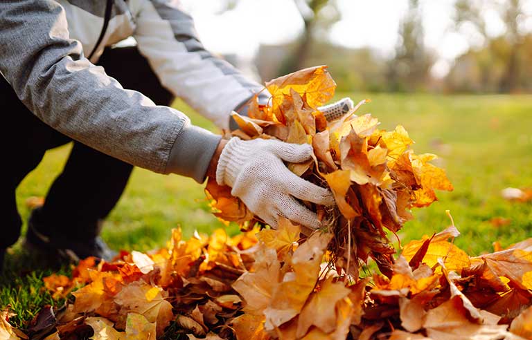 Leaf and debris burning: Know the rules