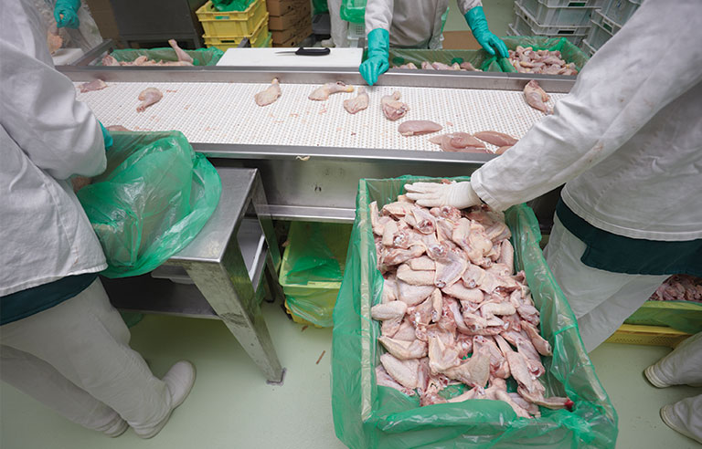 USDA seeking to change line-speed restrictions in some meat-processing ...